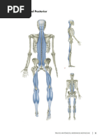 11 - Região Poplítea | PDF | Joelho | Anatomia humana