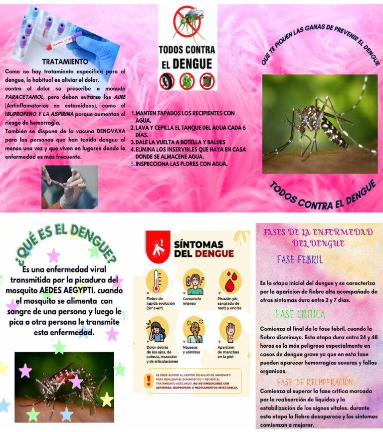 Dengue | PDF