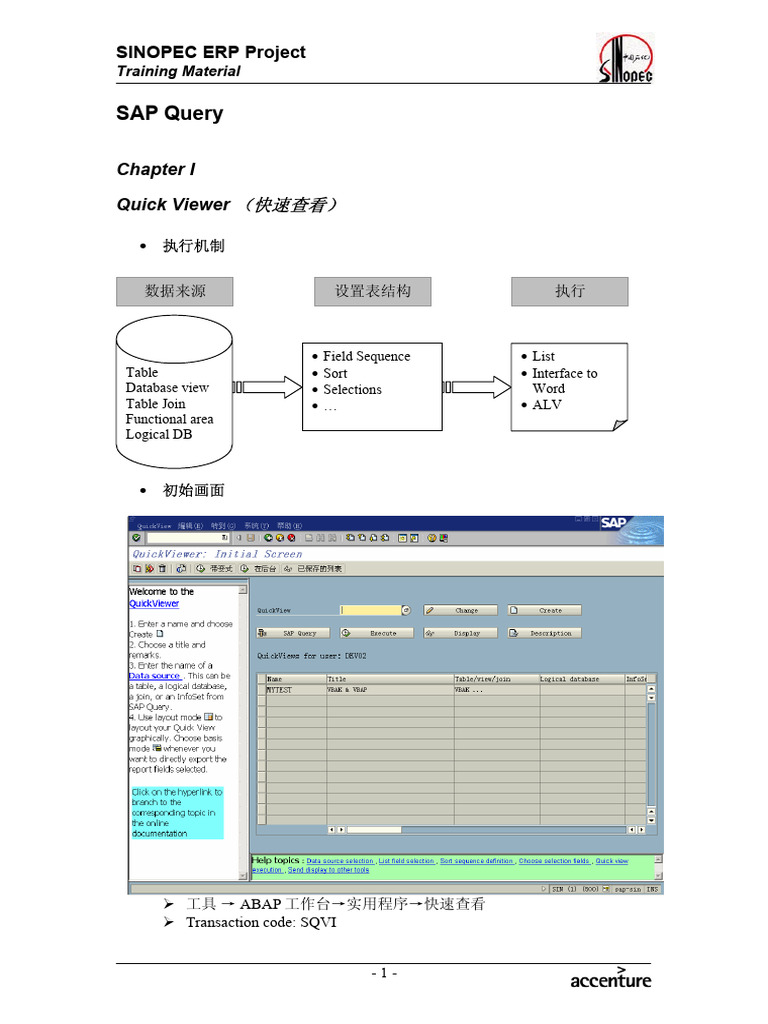 SAP Query (中文版) | PDF