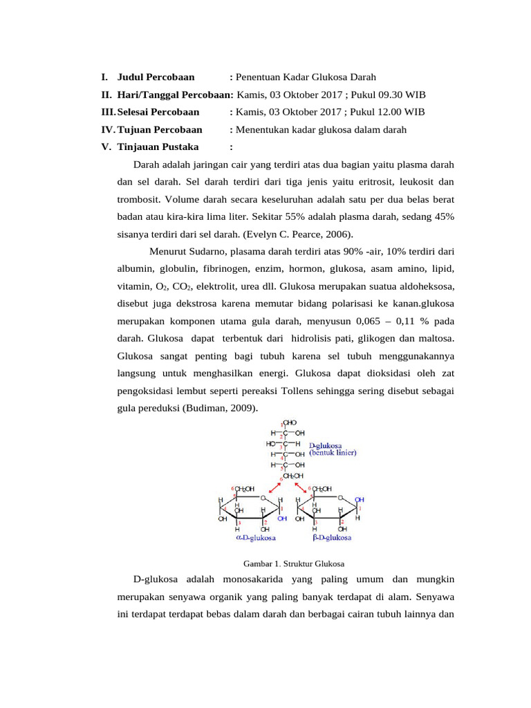 Laporan Resmi Glukosa Darah | PDF