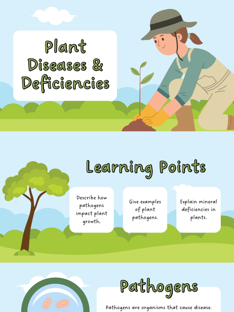 Understanding Plant Diseases and Deficiencies | PDF