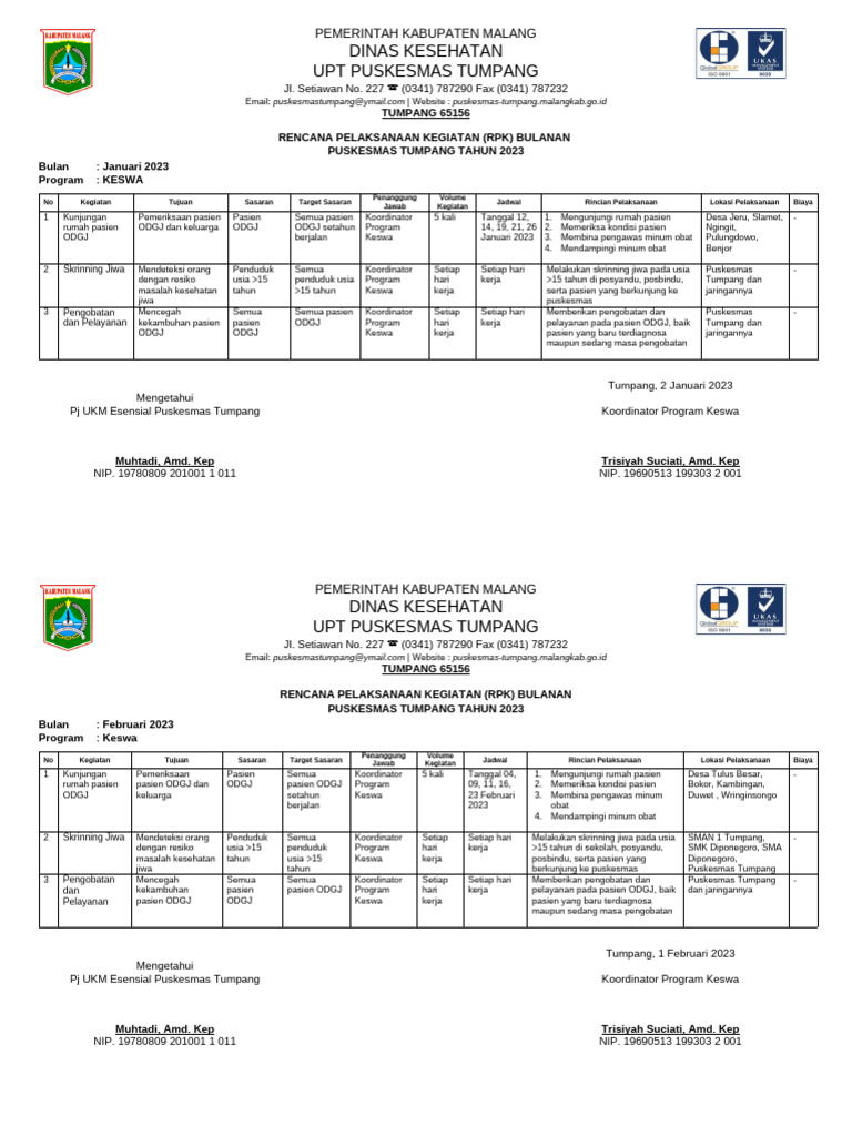 RPK Bulanan Keswa 2023 | PDF