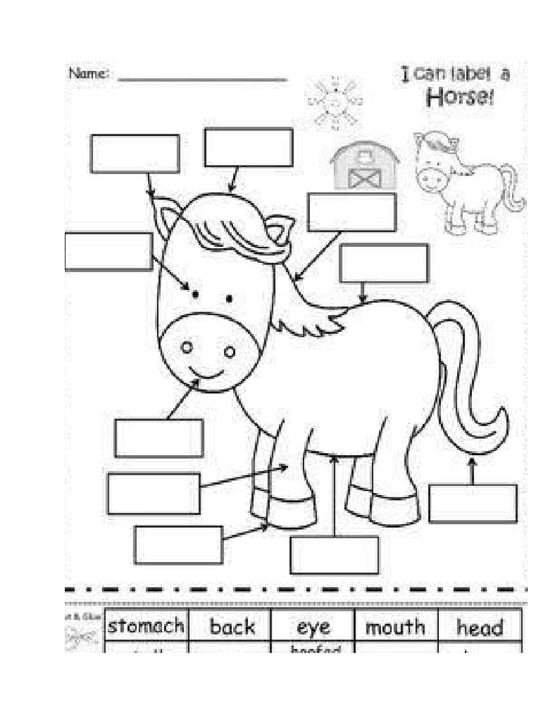 Animal Body Part Labelling | PDF