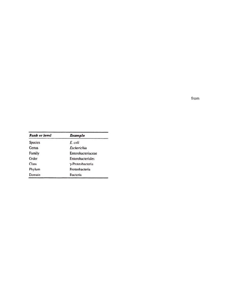 MCB 205 Bacterial Classification, Structure, and Function | PDF ...