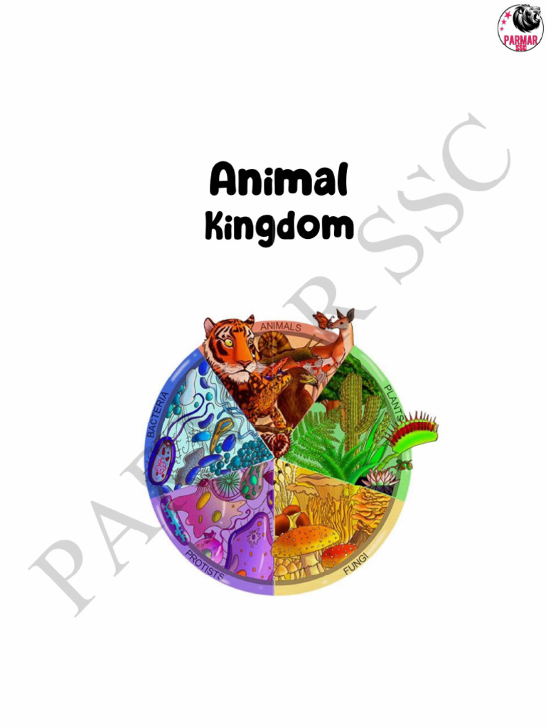 5th Chapter Animal Kingdom | PDF