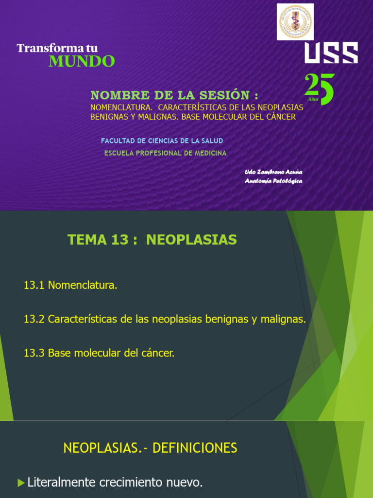 Uss 2024-I. - Teoria. - Neoplasia Generalidades - Nomenclatura | PDF | Cáncer | Oncogen