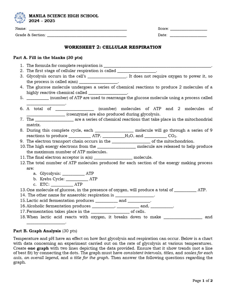 Q2-WS2-Cellular-Respiration (3) | PDF | Cellular Respiration ...
