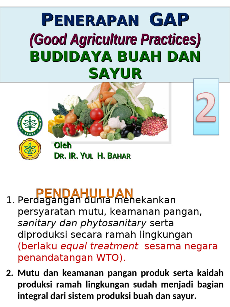 Gap Buah Dan Sayuran | PDF