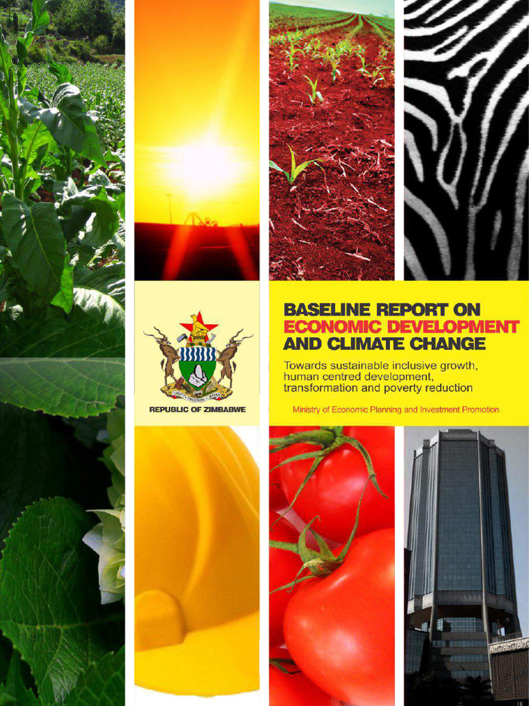 Zimbabwe-baseline-report-FINAL | PDF | Climate Change | Agriculture