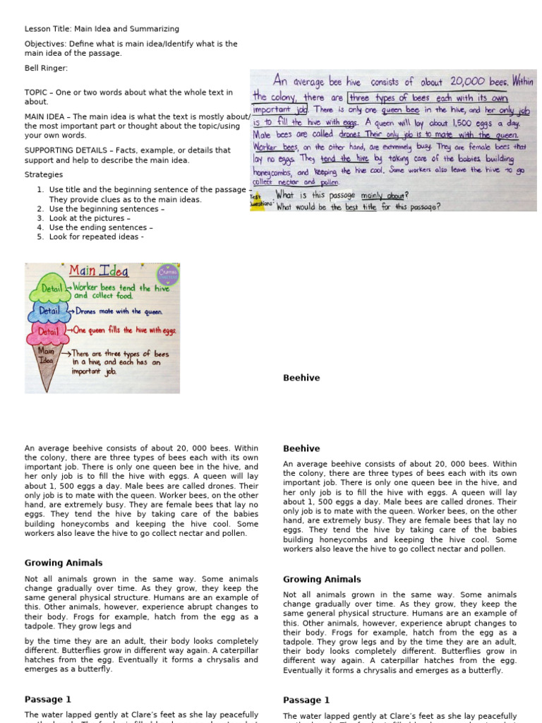 main.idea.lesson | PDF | Beehive | Bees