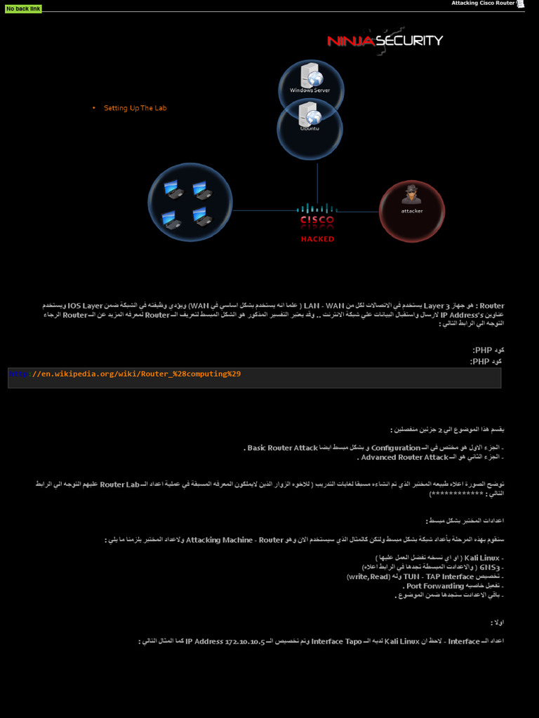 اساسيات اعداد لاب لرواتر سيسكو وعمل fuzzing | PDF | Networking Standards | Communications Protocols