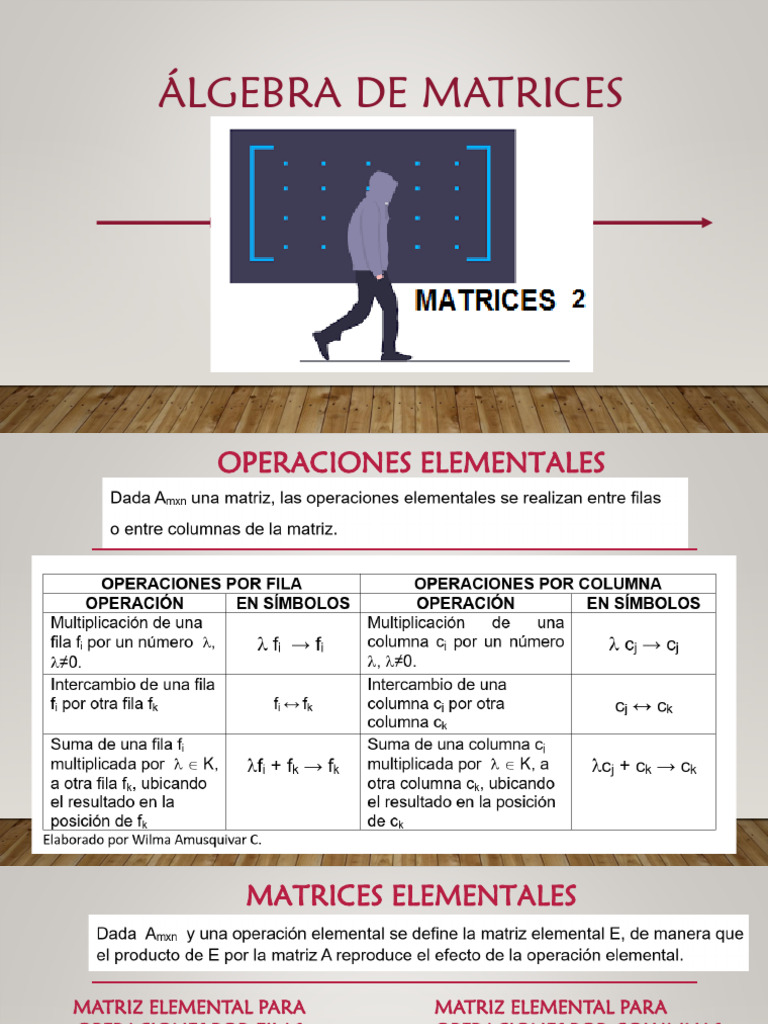 L2 CAP 1 MATRICES 2 | PDF