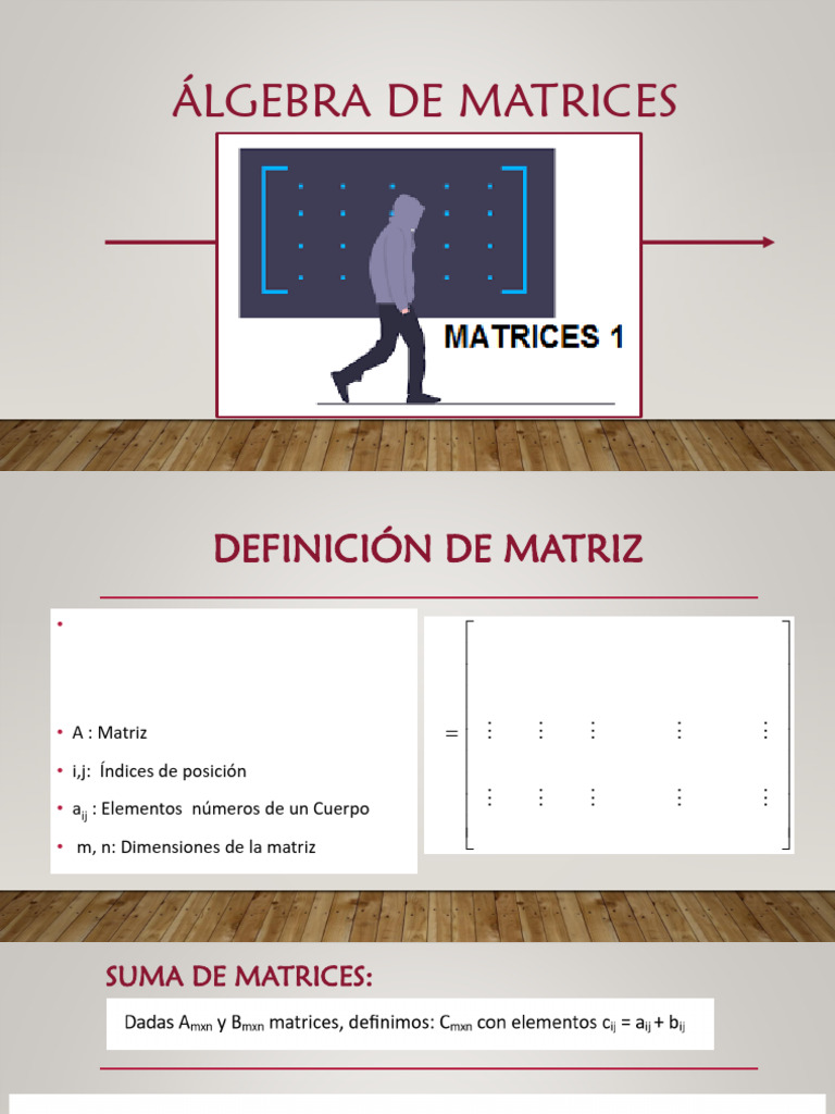 L1 Cap 1 Matrices 1 | PDF