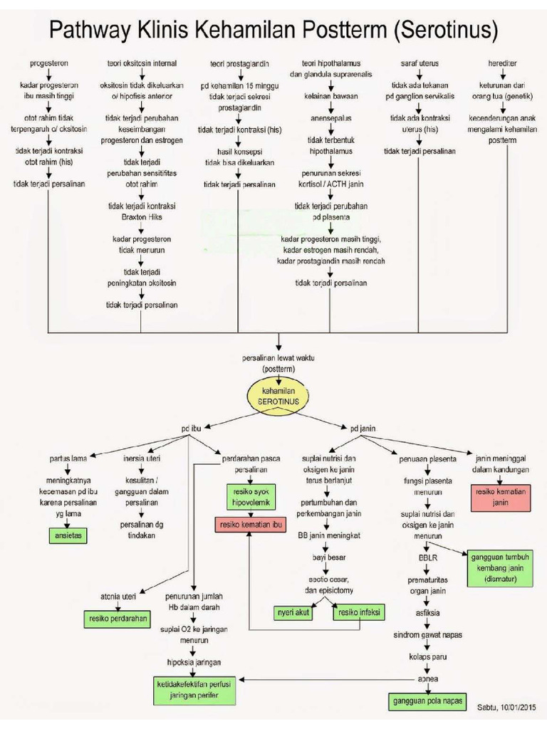 Pathway_Kehamilan_Lewat_Bulan_(Postterm-Serotinus)-transformed (1) | PDF