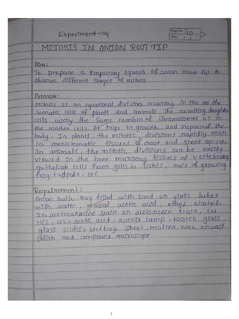 5th Experiment | PDF