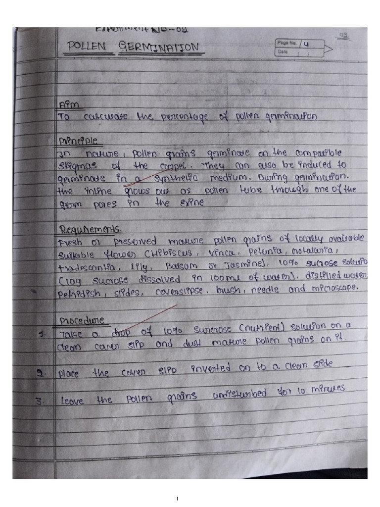 2nd Experiment | PDF