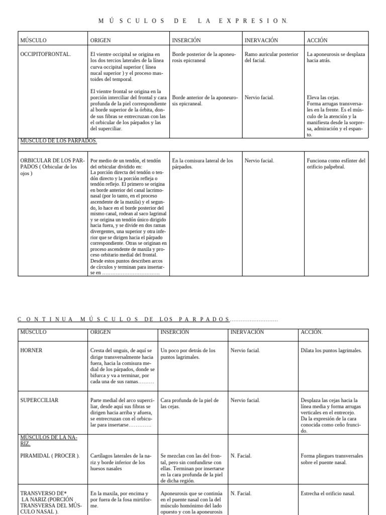 MÚSCULOS DE LA EXPRESIÓN (1) | PDF | Anatomía humana | Cabeza y cuello humanos