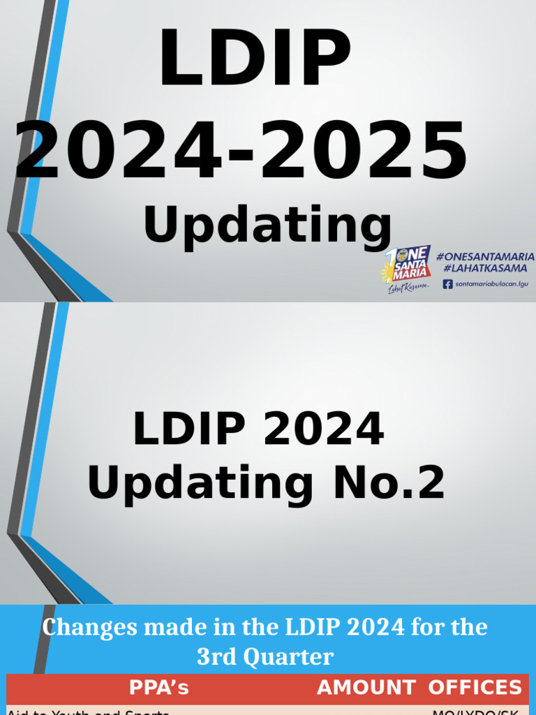 2 LDIP 2024-2025 Presentation | PDF