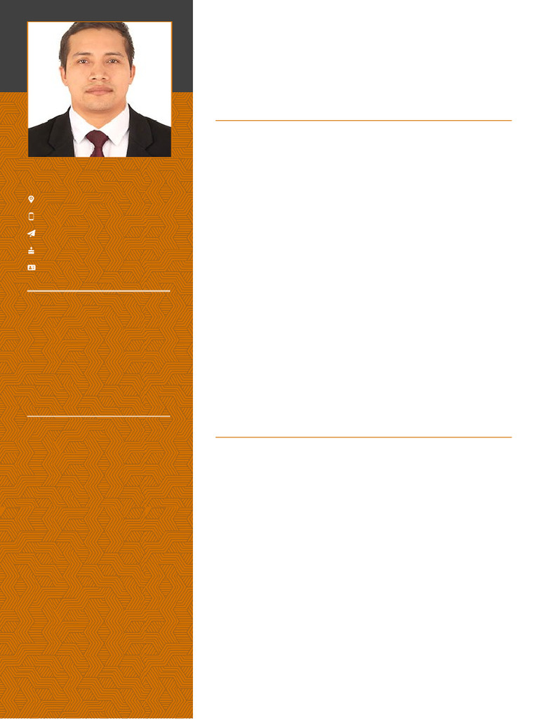 VictorAndre TocasMalca CV (7) | PDF