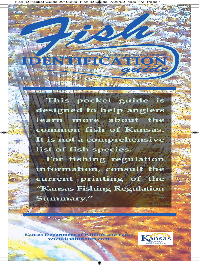 Fish ID Pocket Guide 2022 | PDF | Fish