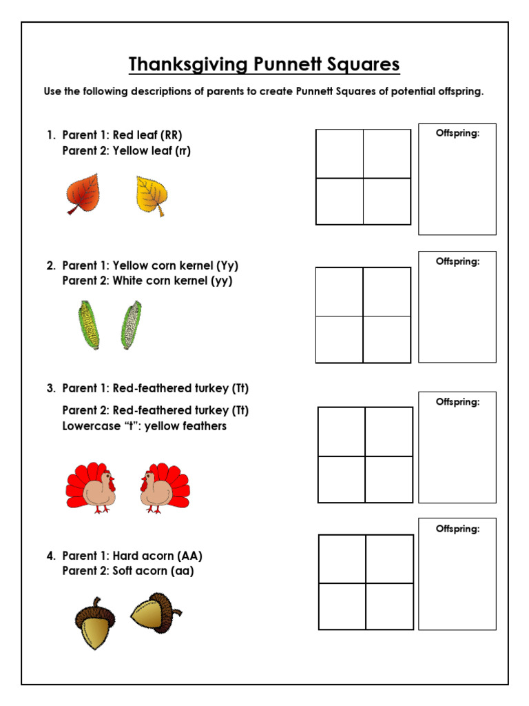 Thanksgiving Punnett Squares | PDF