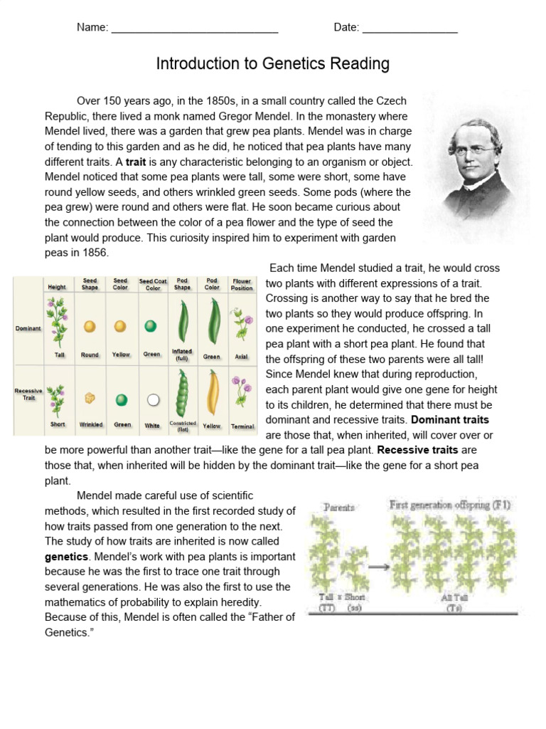 introduction to genetics reading article | PDF | Dominance (Genetics ...