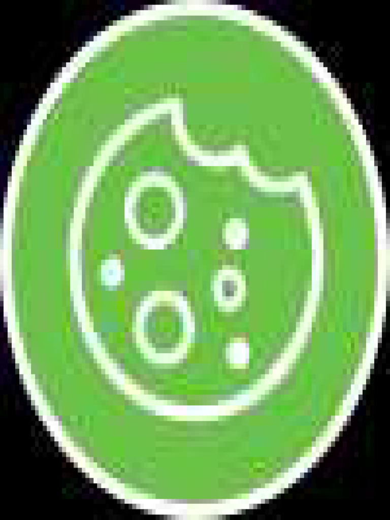 Pages From Ot Persistent Cookie | PDF