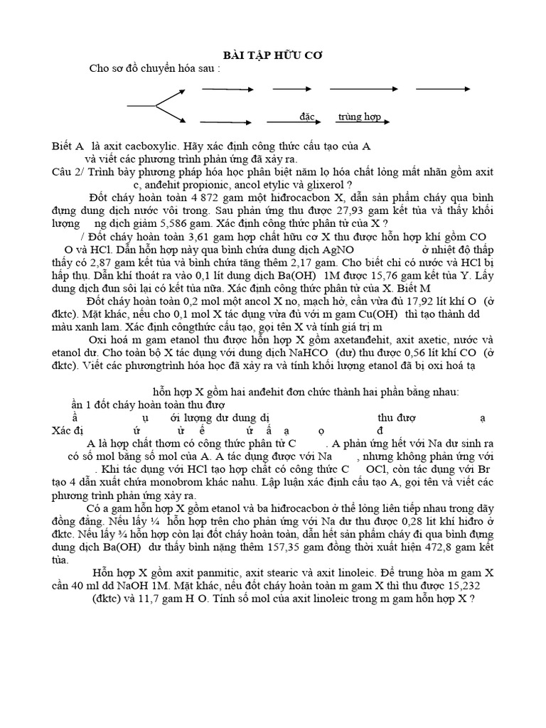 Baitaptong Hop HSG 11 | PDF