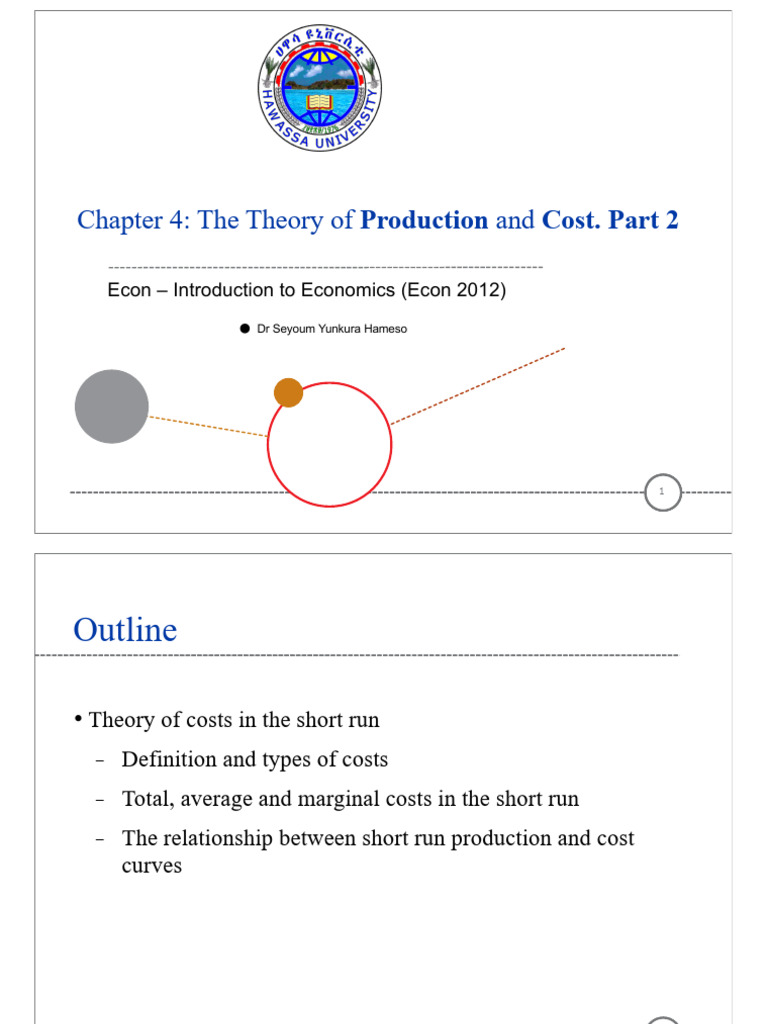 Chapter 4 The Theory | PDF | Marginal Cost | Profit (Economics)