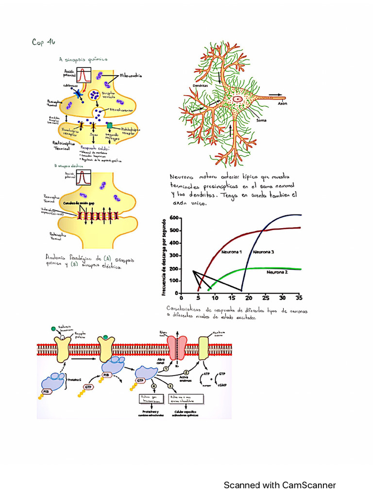 Esquema 3 | PDF