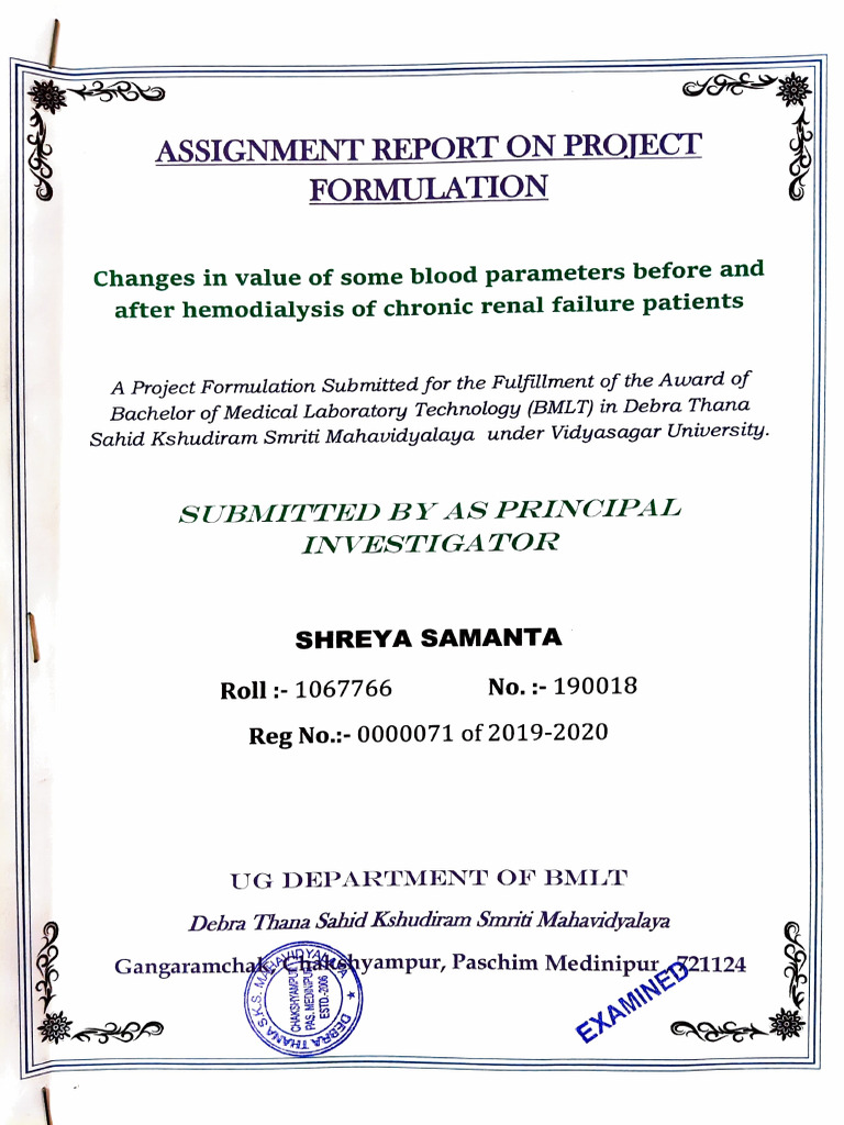 Project paper | PDF | Kidney | Kidney Disease