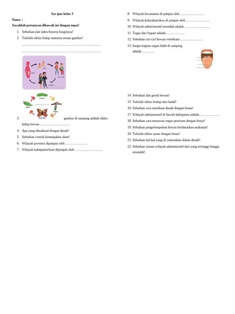 Sas Ipas Kelas 3 | PDF