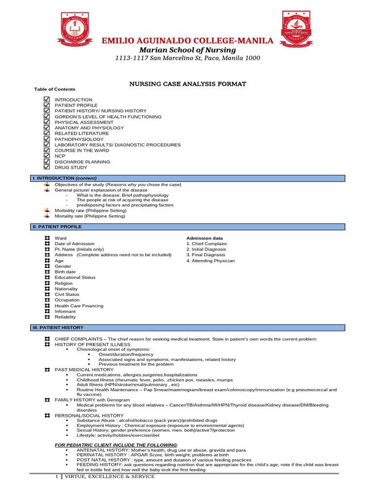 Nursing Case Analysis Format Guide | PDF | Public Health | Clinical ...