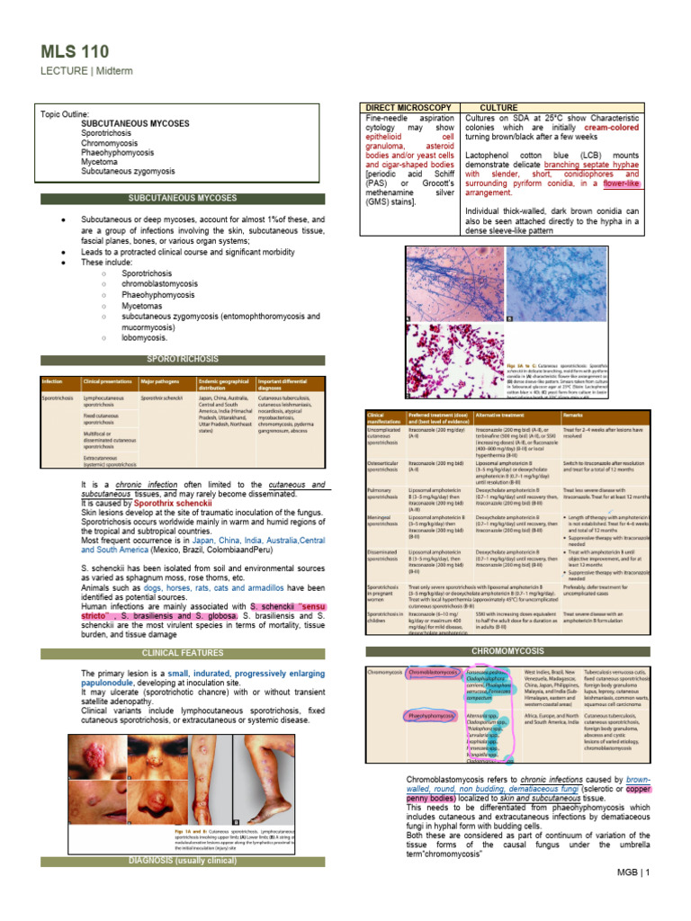 myco | PDF | Candida (Fungus) | Candidiasis