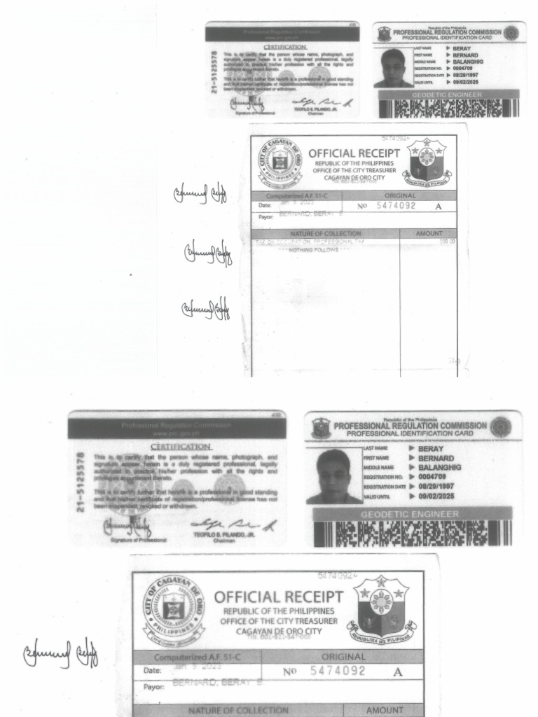 BERAY-GEODETIC | PDF