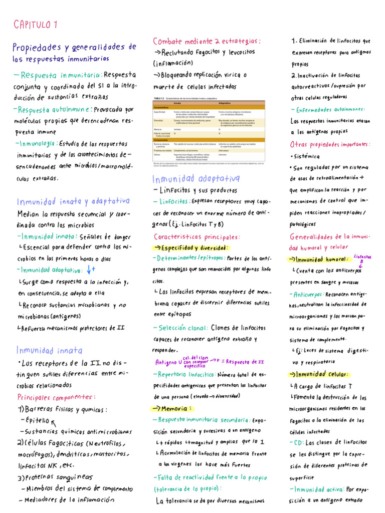 Nota 26 Ene 2024 | PDF