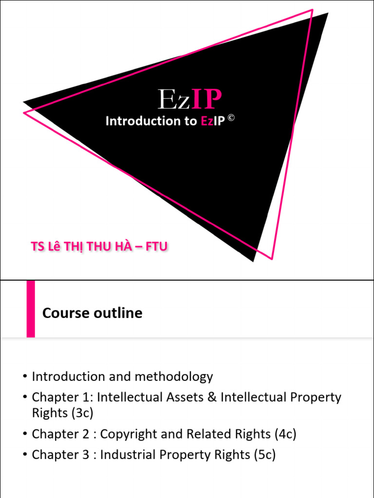 Intellectual Property Chapter 1 | PDF
