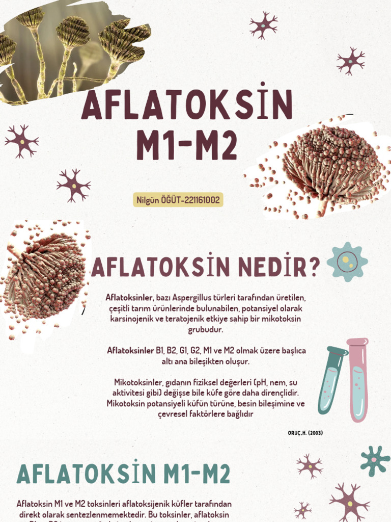 AFLATOKSİN M1-M2 | PDF