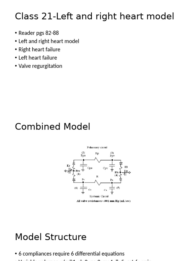 Class 21-Left and Right Heart Model | PDF | Heart Valve | Ventricle (Heart)