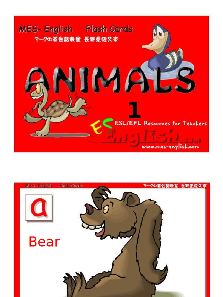 Animals 1 | PDF