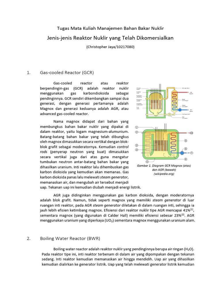 Jenis-jenis Reaktor Nuklir Komersial | PDF