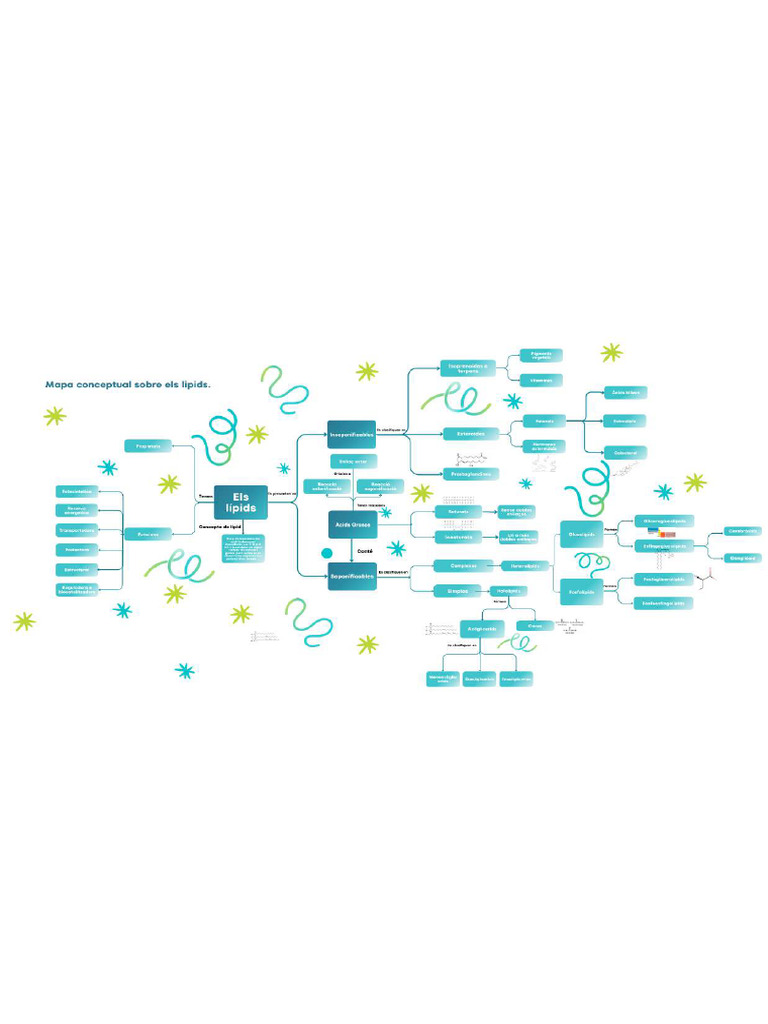 Mapa conceptual sobre els lipids. | PDF