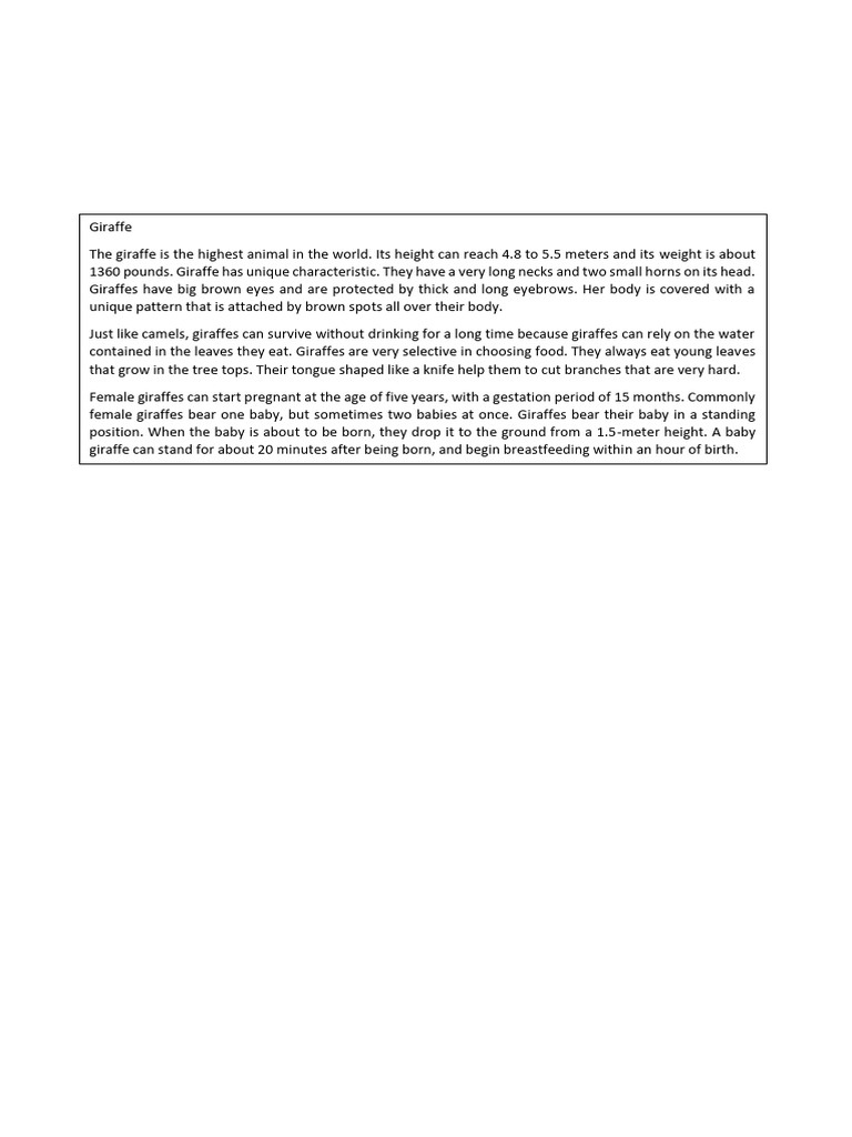 FACTUAL REPORT TEXT XI | PDF