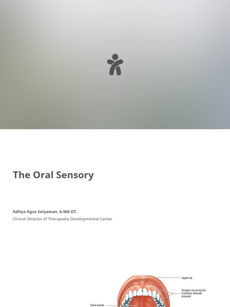 Oral Sensory Strategies for Therapedia | PDF