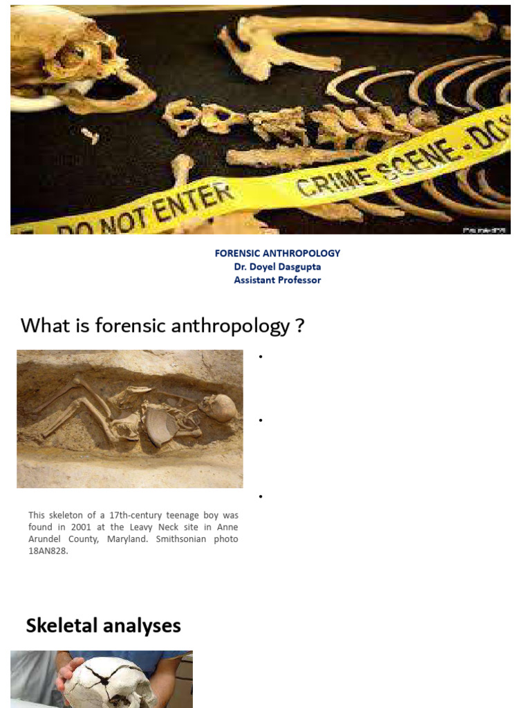 Forensic Anthropology - Principal and Methods - PDF | PDF | Pelvis