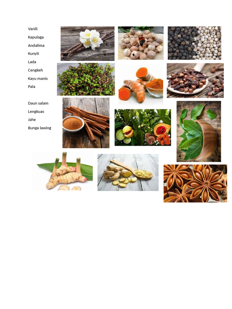 Rempah | PDF