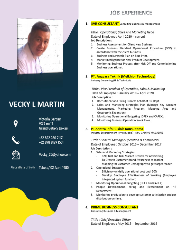 Executive Career Overview | PDF | Marketing | Sales