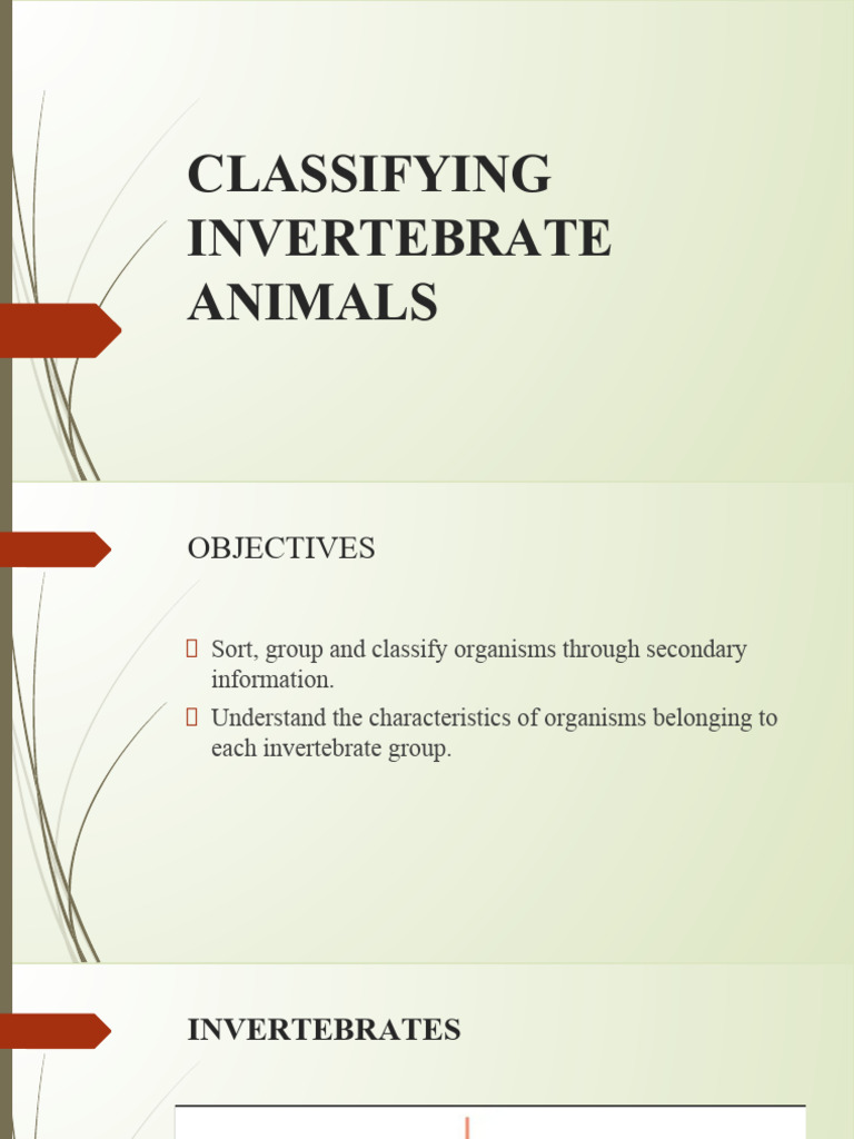 CLASSIFYING INVERTEBRATE ANIMALS | PDF