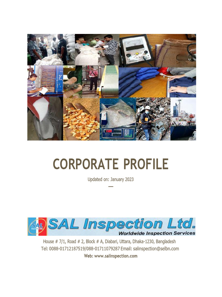 SAL Company Profile January 2023 | PDF | Corporate Social ...