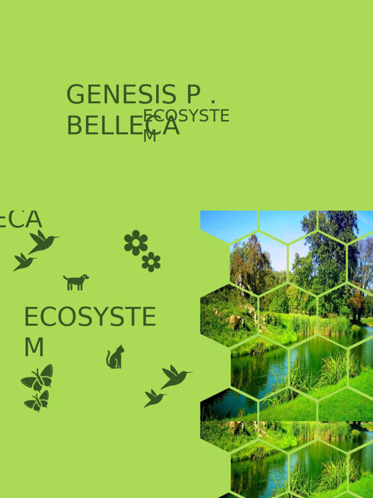 Genesis P. Belleca | PDF | Deforestation | Ecosystem
